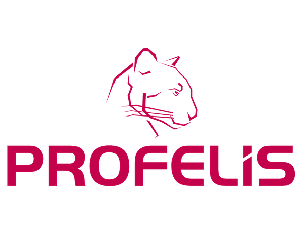 Tolga Korkunçkaya, Profelis Bilişim Danışmanlık sitesinin yazarı.